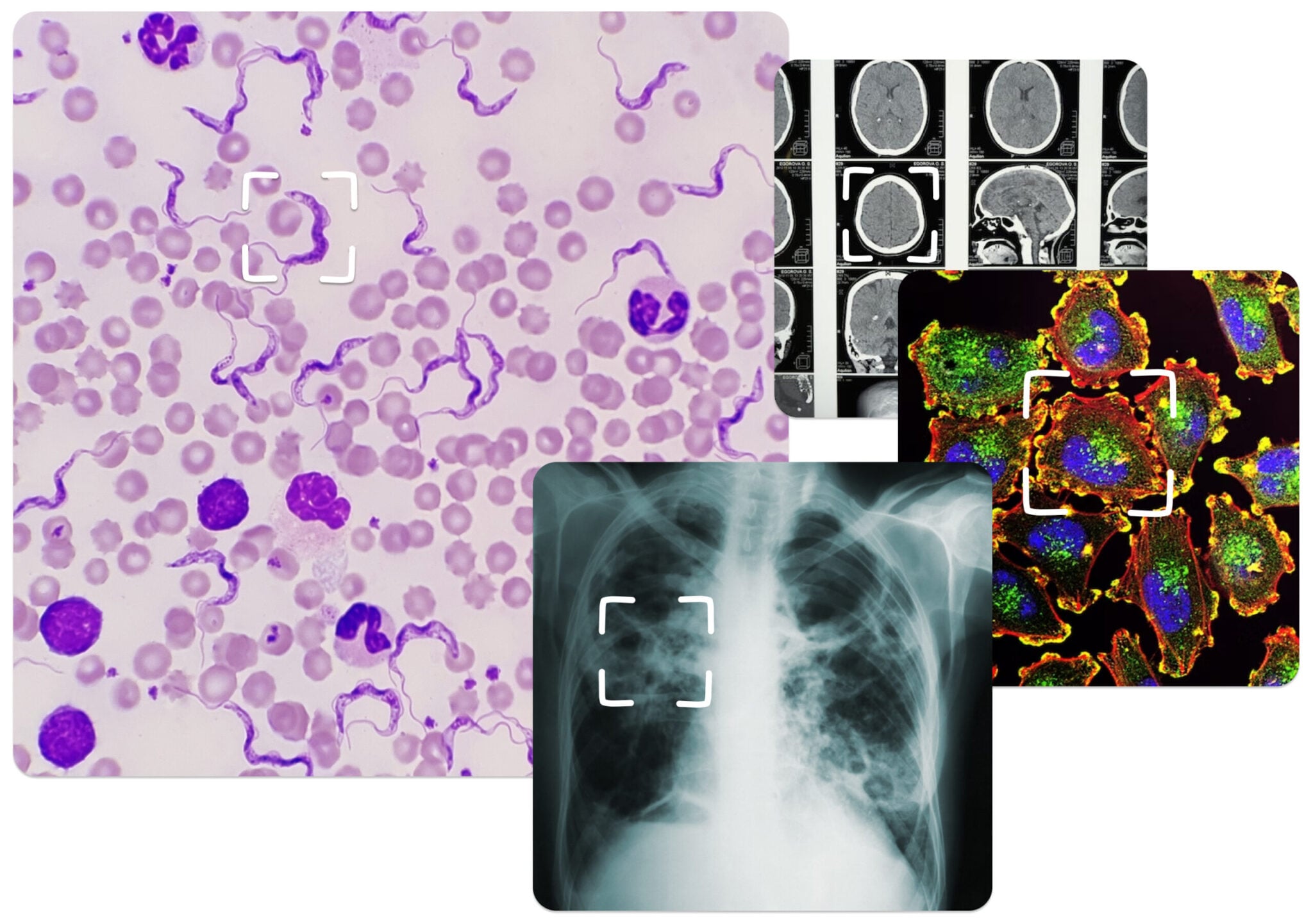 Visual Search Solutions - Ximilar: Visual AI for Business